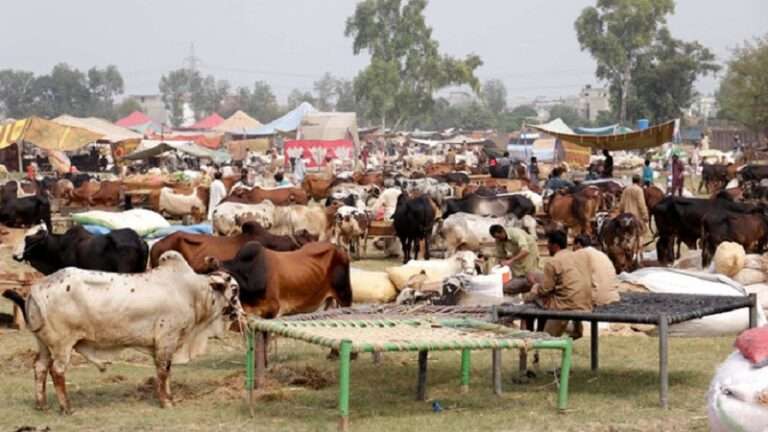 Pakistan announces four-day public holidays for Eid-ul-Adha 2025