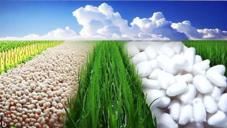 Agriculture sector share rises to 23.54% of GDP in FY25