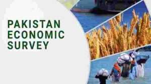Aurangzeb highlights achievements in Economic Survey 2024-25
